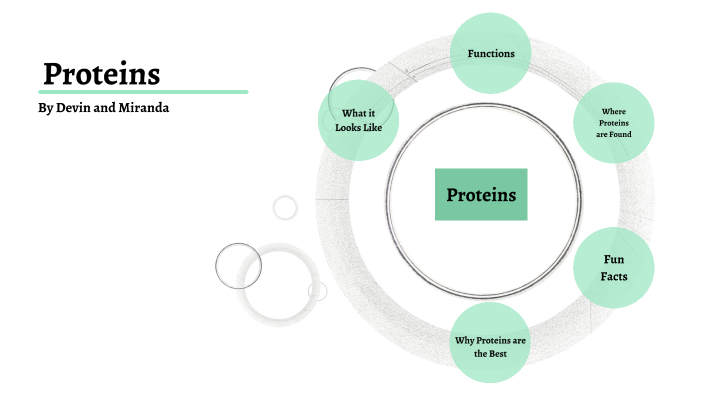 Macromolecule Project by Miranda Graue on Prezi