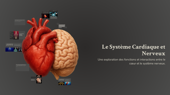 Le Système Cardiaque et Nerveux by Yassin Benabdellah on Prezi