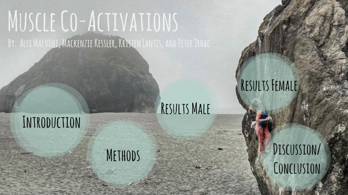 Muscle Co-Activation by Kristen Lantis on Prezi