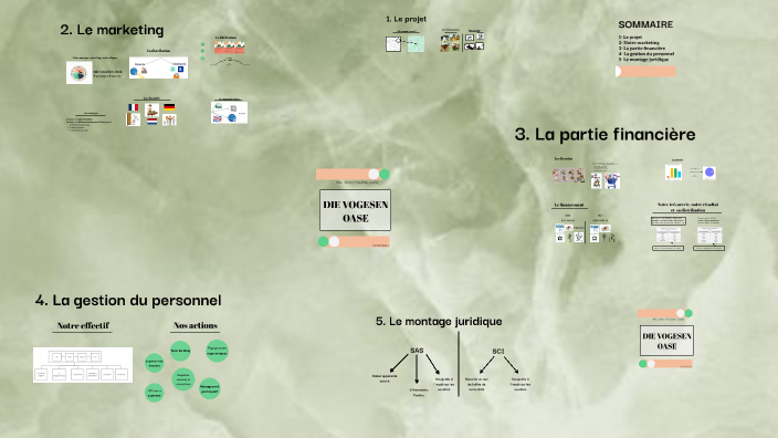 diapo business plan by pauline cadieu on Prezi