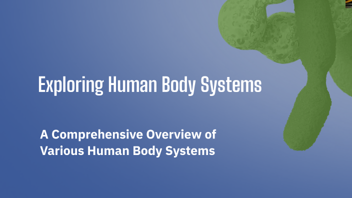 Exploring Human Body Systems by Ravleen Kaur Bhasin on Prezi