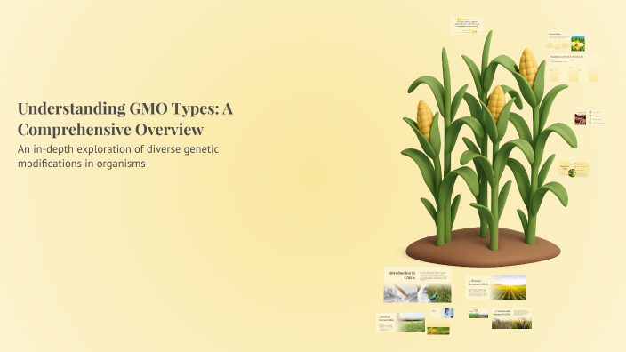 Understanding GMO Types: A Comprehensive Overview by Farooq__ES Arsewie ...