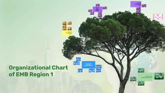 Organizational Chart of EMB Region 1 by EMB Region 1 Planning on Prezi