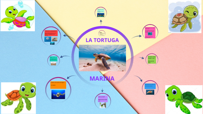 LA TORTUGA MARINA by Evelyn Garcia Vallejo on Prezi