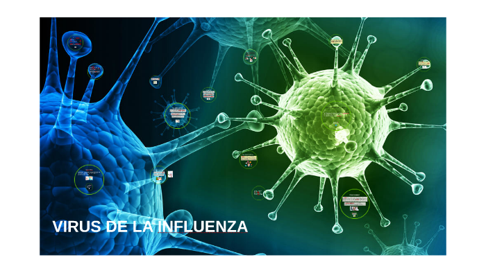 Virus de la Influenza by Carlos Alberto Ramos Legua on Prezi