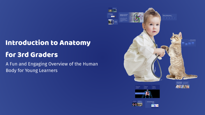 Introduction to Anatomy for 3rd Graders by Kat Neale on Prezi