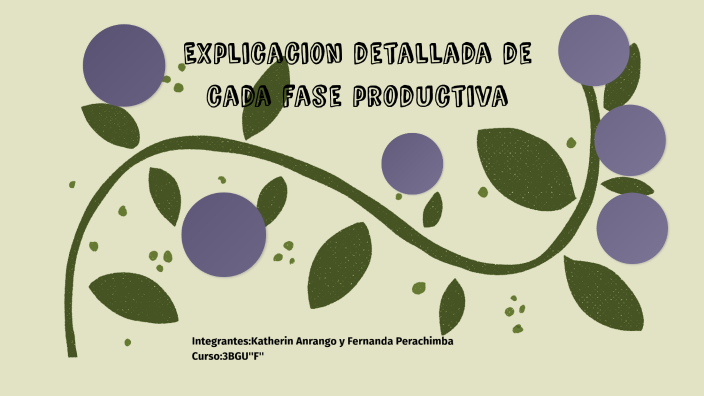 Explicacion detallada de cada fase productiva by Fernanda Perachimba on Prezi