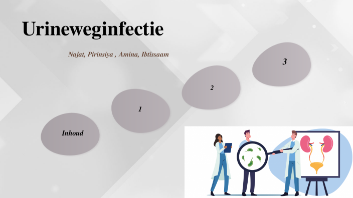 Urineweginfectie presentatie by najat ghaimimi on Prezi