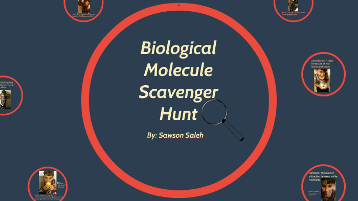 Biological Molecule Scavenger Hunt by sawson saleh on Prezi
