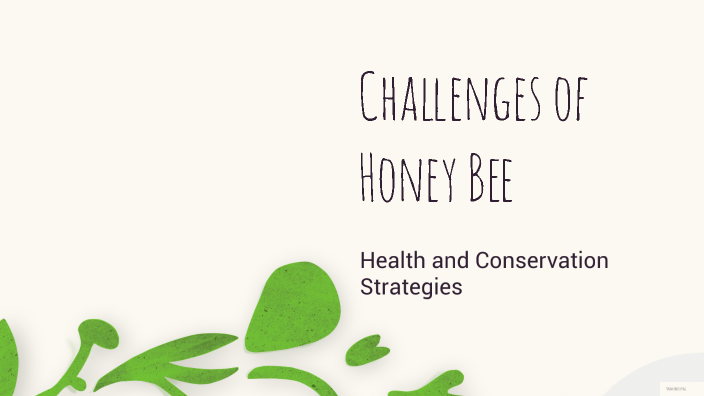 Challenges of Honey Bee by Fiza Aftab on Prezi