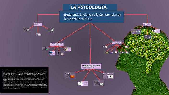 MAPA CONCEPTUAL by HARRISON HERRERA on Prezi
