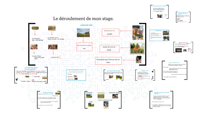 Le déroulement de mon stage. by manon michalet on Prezi