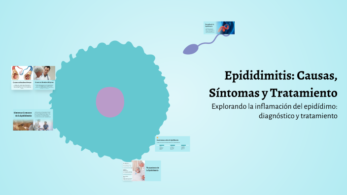 Epididimitis: Causas, Síntomas y Tratamiento by Isidro Montilla on Prezi