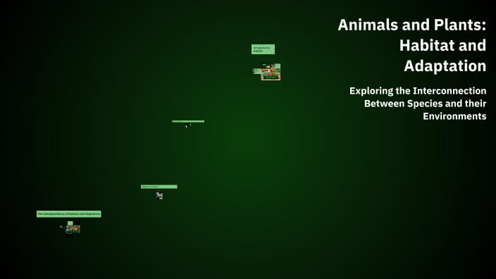 Animals and Plants: Habitat and Adaptation by Thread Thrill on Prezi