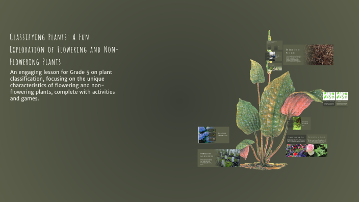 Classifying Plants: A Fun Exploration of Flowering and Non-Flowering ...