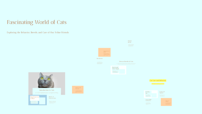 The Fascinating World of Cats by Catalina Langa on Prezi
