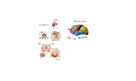 Anatomy and Physiology by Catherine Adcock on Prezi