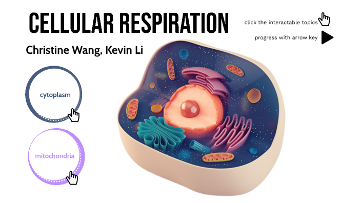 Cellular Respiration POSTER by Christine Wang on Prezi