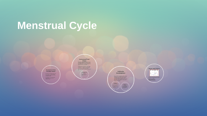 Menstrual Cycle by Brooke Whitley on Prezi