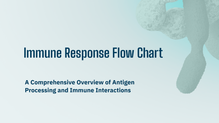 Immune Response Flow Chart by Danielle Kammin on Prezi