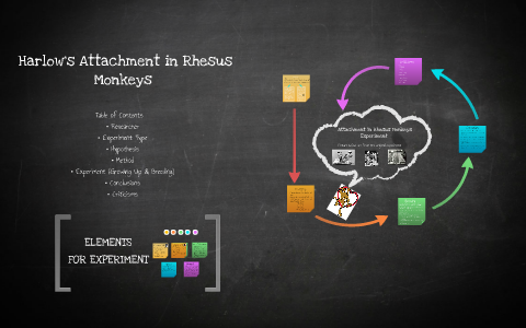 Harry F. Harlow's Rhesus Monkeys Experiment by Erika Broxton on Prezi