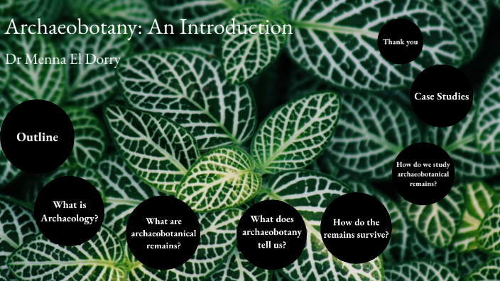 Archaeobotany: An Introduction by Habiba El-Tayeb on Prezi