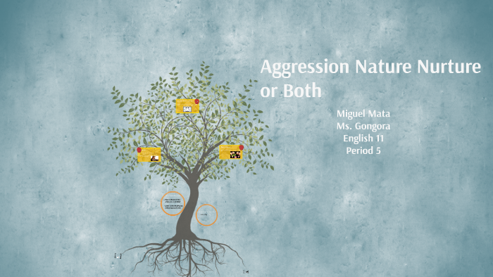 Aggression Nature Nurture or Both by Miguel Mata on Prezi