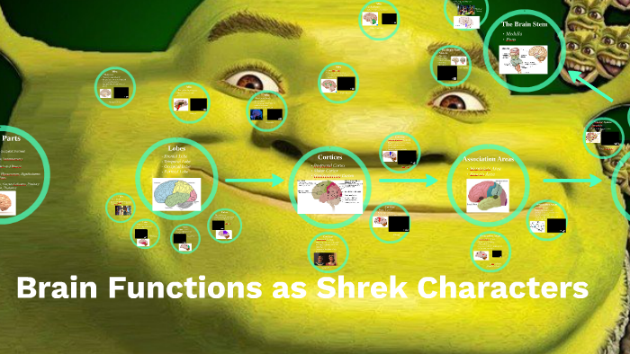 Brain Functions as Shrek Characters by Anissa Forero on Prezi