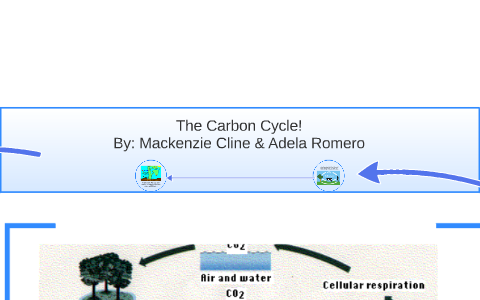 By: Mackenzie Cline & Adela Romero by on Prezi