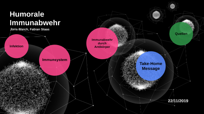 Humorale Immunantwort by Joris Bleich on Prezi