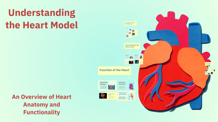 Understanding the Heart Model by Charlotte Renz on Prezi