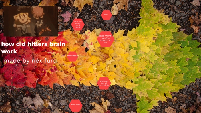 how did Hitlers brain work by nex furu on Prezi