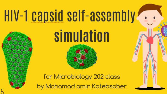 HIV-1 capsid self-assembly simulation by Mohammad Amin Kateb Saber on Prezi