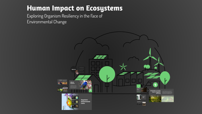 Human Impact on Ecosystems by Michaela Erasmus on Prezi