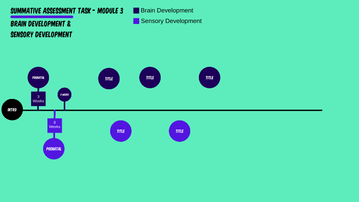 Summative Assessment Task - Module 3 by Kaleb smith on Prezi