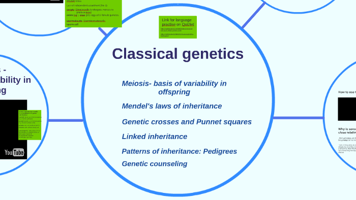 Classical genetics by Anja Mahlke on Prezi