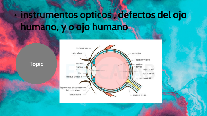 INSTRUMENTOS ÓPTICOS, DEFECTOS DEL OJO HUMANO by Dahian Aguja vera on Prezi