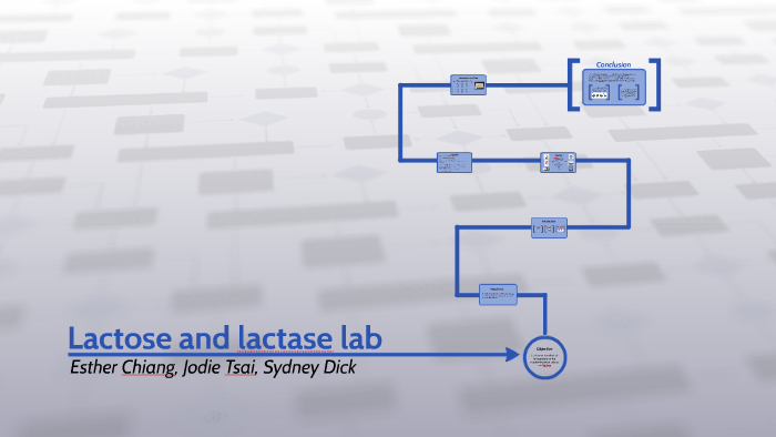 Lactose and lactase lab by on Prezi