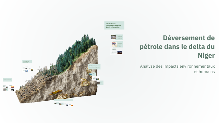 Déversement de pétrole dans le delta du Niger by Achraf Mesmi on Prezi