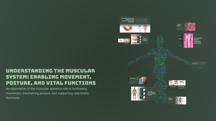 Understanding the Muscular System: Enabling Movement, Posture, and ...