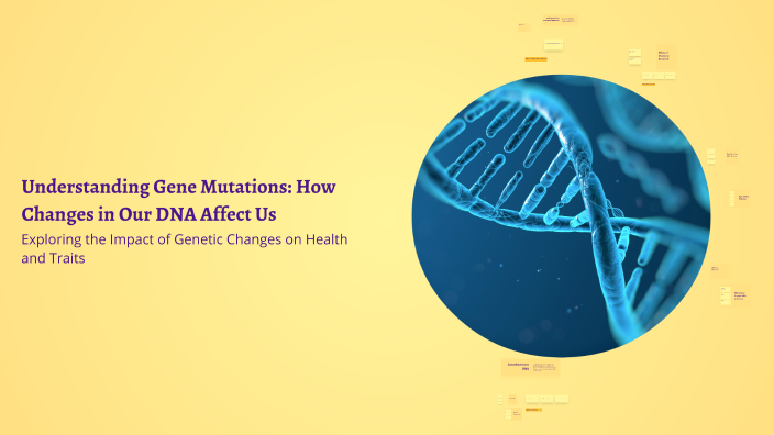 Understanding Gene Mutations: How Changes in Our DNA Affect Us by Lisa ...