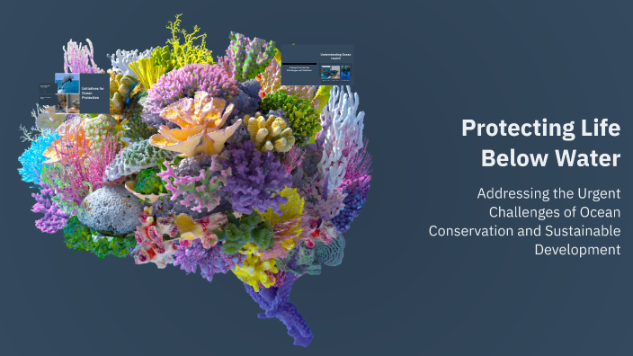 Protecting Life Below Water by Idontknow Idontknow on Prezi