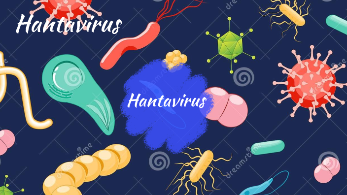 Virus Hanta o Hantaan by Rafaella Soto on Prezi
