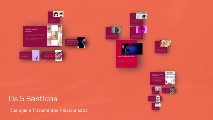 Os 5 Sentidos by Lucca Jorge on Prezi