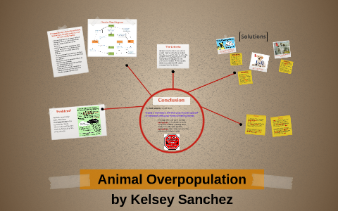 Animal Overpopulation by Kelsey Sanchez on Prezi