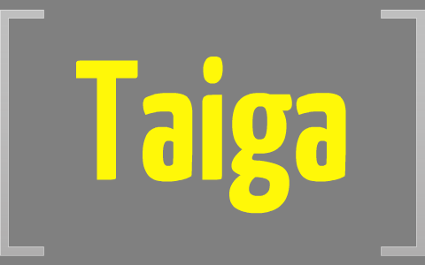 Taiga by grace libi on Prezi