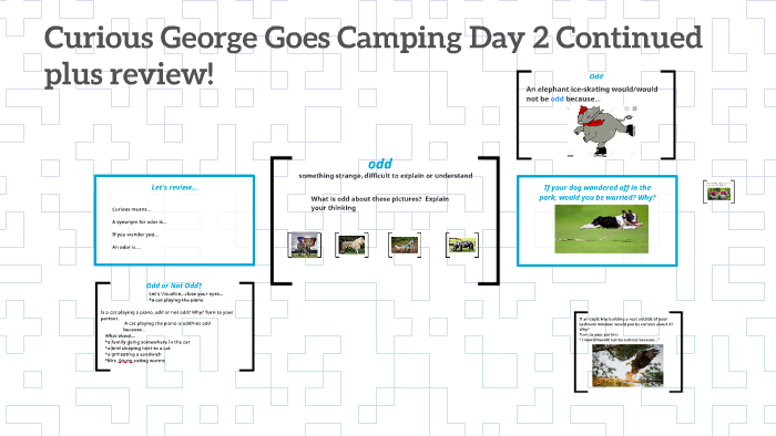 Curious George Goes Camping Continued by Jennifer Hillsman