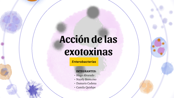 Exotoxinas by Camila Quishpe on Prezi