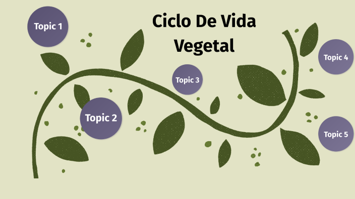 Ciclo de vida vegetal (Infografia) by DAVID SANTIAGO RODRIGUEZ AREVALO ...
