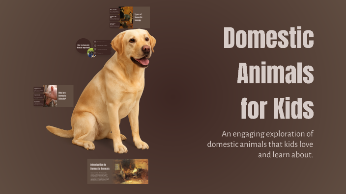 Domestic Animals for Kids by Andrada Ion on Prezi